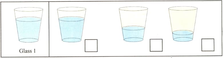 Which glass has water equal to glass no1 puttick in the box