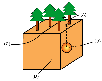 Periodic and Non-periodic Change Contains Questions With Solutions ...