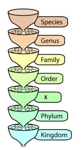 Classification of Living Organisms and Binomial Nomenclature Contains ...