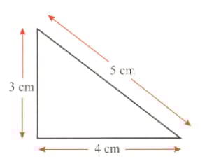 Draw a rough sketches and give the dimensions of two rectangles with ...
