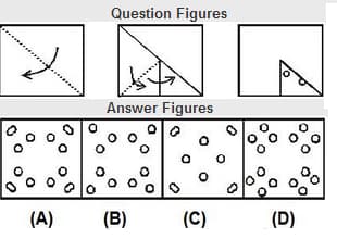Paper Folding Contains Questions With Solutions & Points To Remember