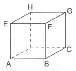 The angle between two adjacent edges of a cube and cuboid is