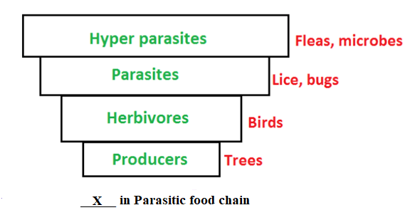 Ecological Pyramids Contains Questions With Solutions & Points To Remember