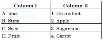 The Pusa Nanha dwarf papaya cultivar was created through