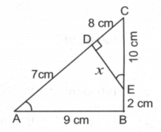 Similarity of Triangles Contains Questions With Solutions & Points To ...