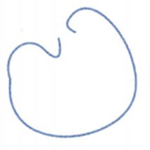 Open and Closed Figures Contains Questions With Solutions & Points To ...