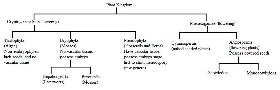 Linnaeus system of plant classification is
