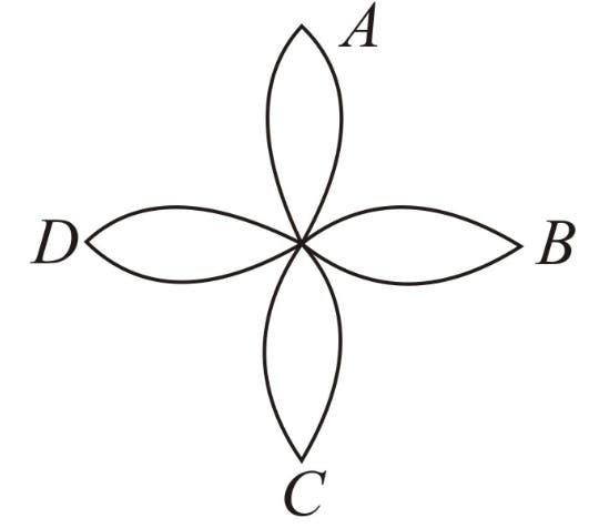 Draw a trapezium and show all the possible lines of symmetry