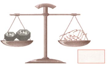 Weight balance is used to weigh the mass of an object