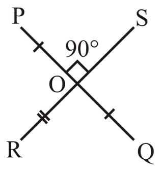 Perpendicular Bisector of a Line Segment Contains Questions With ...
