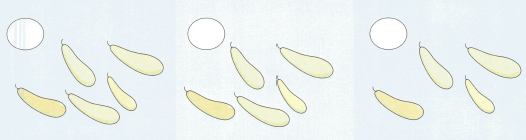 Which tree has mangoes more than 5 but less than 7