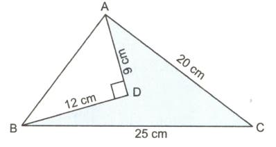 Area and Perimeter of Plane Figures Contains Questions With Solutions ...