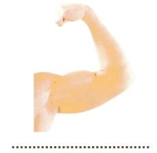 Muscles Contains Questions With Solutions & Points To Remember