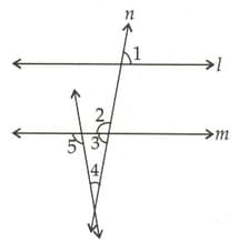 Pairs of Angles Contains Questions With Solutions & Points To Remember