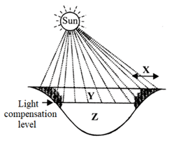 Stenothermal animalscan tolerate a wide range of temperature conditions
