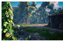 What are the objectives of Earth summit