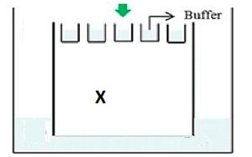 Explain the Life cycle of Plasmodium starting from its entry in the ...