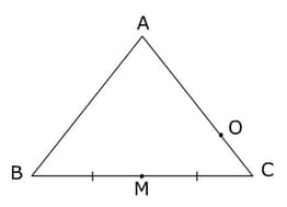 Triangles on the Same Base and between the Same Parallels Contains ...