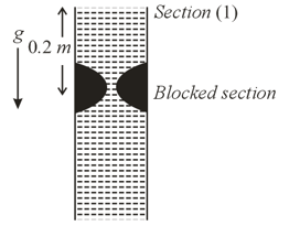 Bernoulli’s Theorem and its Applications Contains Questions With ...