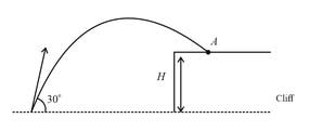Projectile Motion Contains Questions With Solutions & Points To Remember