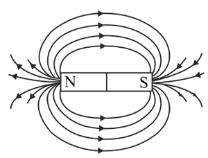 Draw a neat scientific diagram of Neuron and label Dendrite and Nerve ...