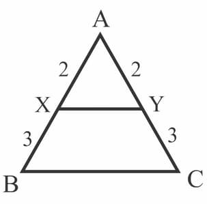 Criteria for Similarity of Triangles Contains Questions With Solutions ...