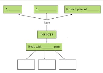 Characteristics of Insects Contains Questions With Solutions & Points ...