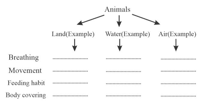 What is camouflage Name any two animals that have camouflaging abilities