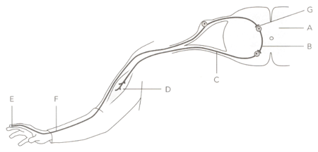 Mary Jones & Geoff Jones solutions for Biology for Cambridge IGCSE ...