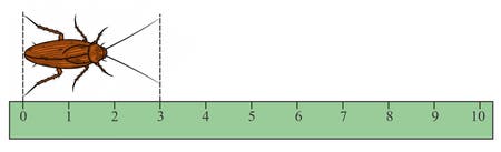 What is the difference between centimeters and meters