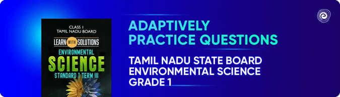 We can play with sharp objects