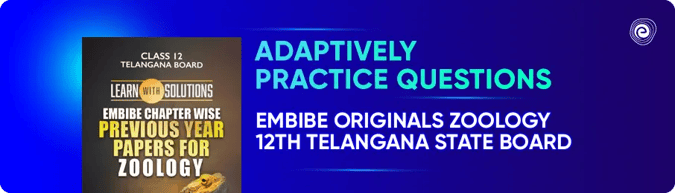 Name the keystoneboneof the cranium Where is it located
