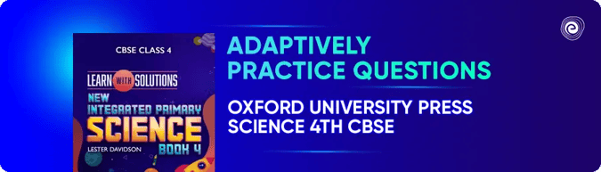 How the body breaks down food in the process of digestion