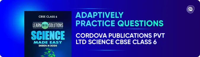 Draw the diagram of an inverted image of candle flame formed by a ...