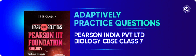 The artery that carries impure blood from heart to lungs is