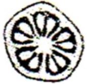 The placentation in carnation flower is correctly displayed by which ...