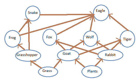 Yellowstone Wolf Food Web Explain The Food Web Of Yellowstone National