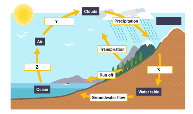Percolation Water Cycle Examples