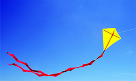 Which object has a body shape similar to a bird