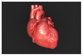 Identify the external organ from the following options