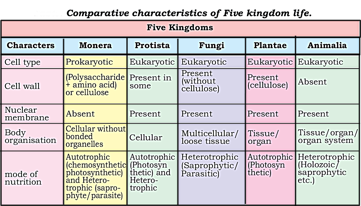 Protist Kingdom Classification