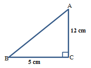 Right angled triangles and Pythagoras property Contains Questions With Solutions & Points To ...