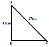 Right Angled Triangles and Pythagoras Property Contains Questions With Solutions & Points To ...