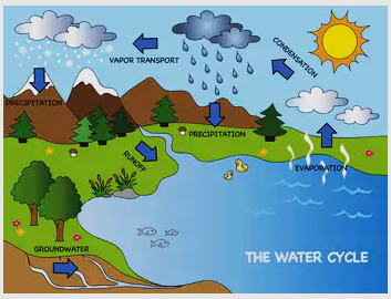 Water Cycle Diagram For Class 9
