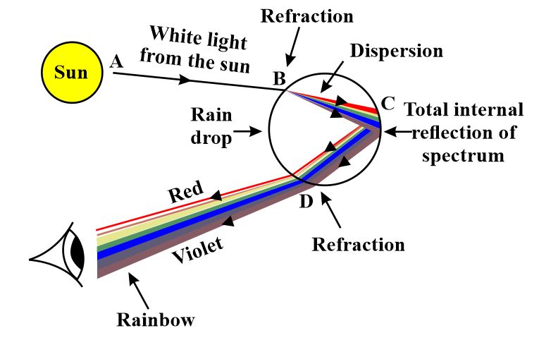 Prove that a rainbow is the combined effect of refraction dispersionand ...