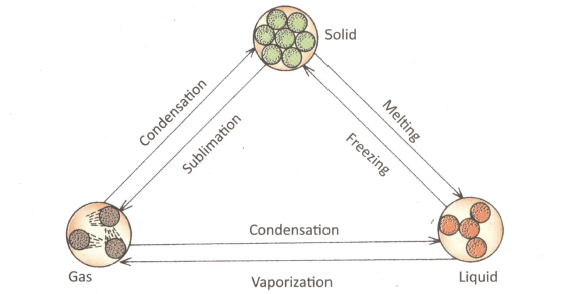 Draw a labelled schematic diagram showing interconversion of matter