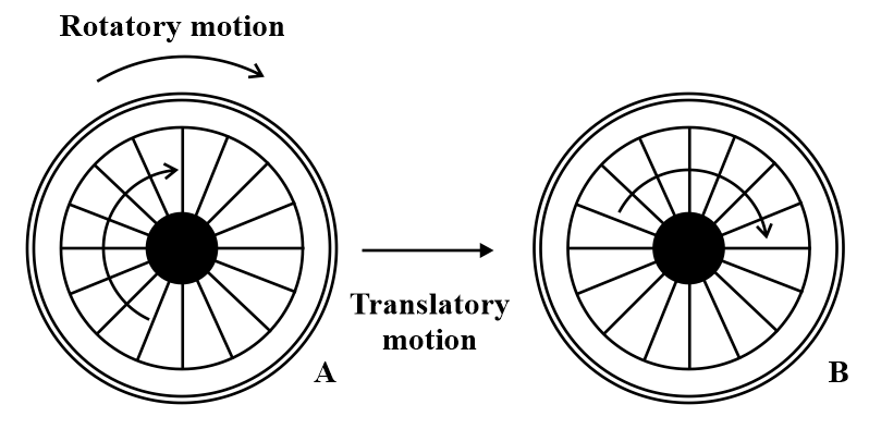 Give two examples to illustrate that a body can have two or more types ...