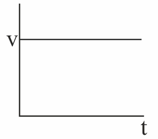 Which graph represents a state of rest for an object