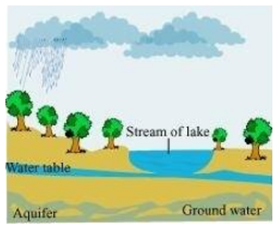Make a sketch showing groundwater and water table Label it