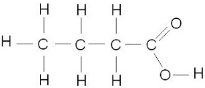Draw the structure of butanoic acid